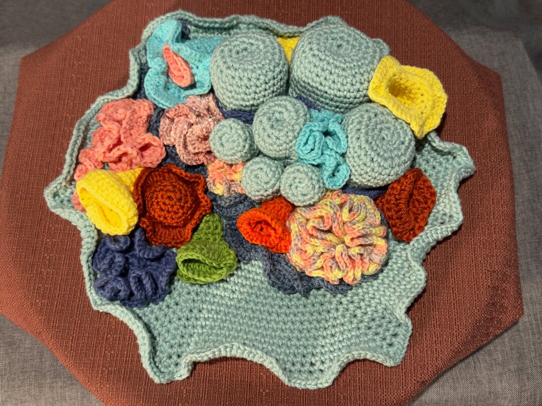 Crochet Coral Reef Play Mat - Etsy