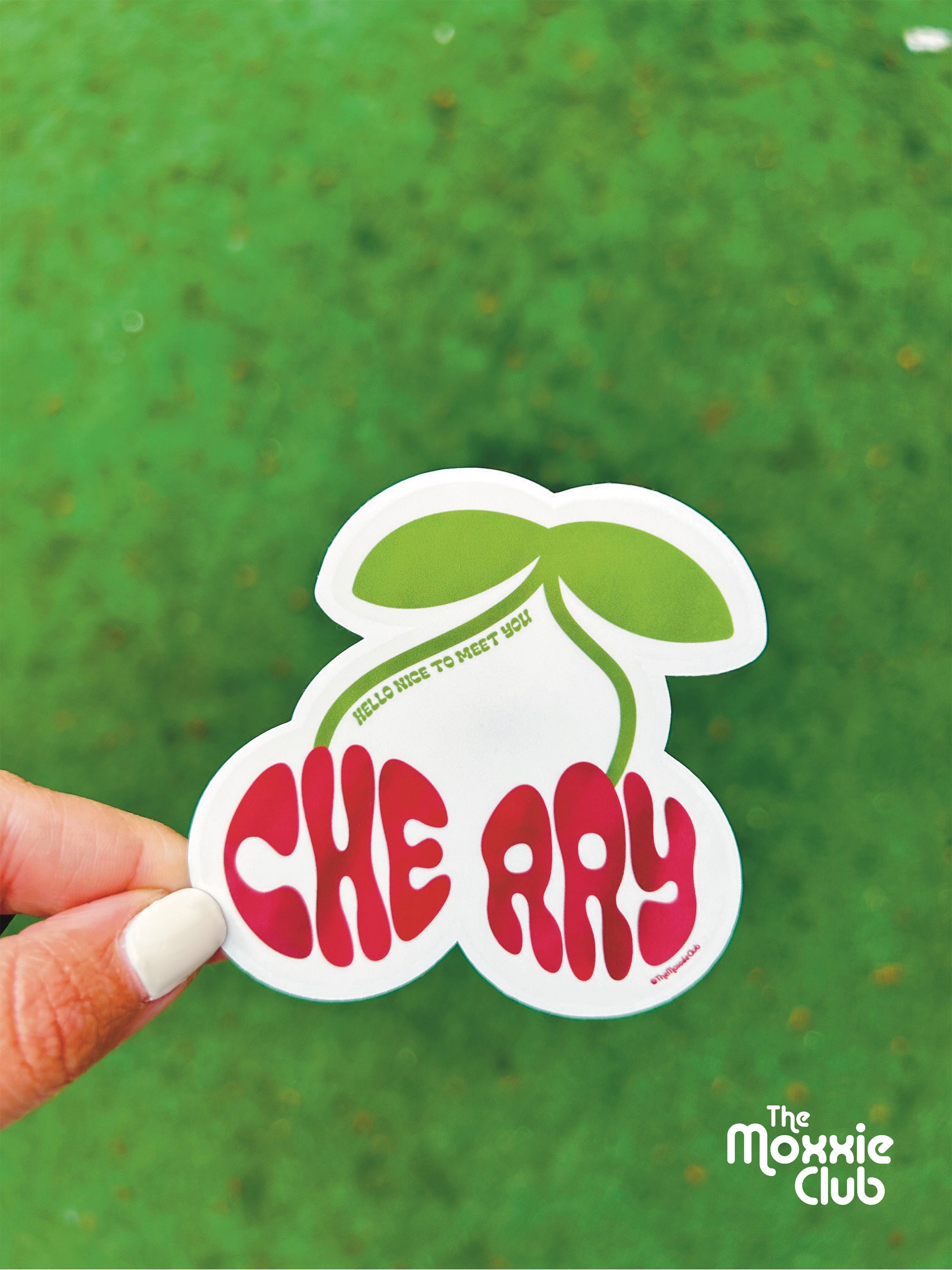 Fletcher Cherry Sticker Hailey Kyoko Hello Nice to Meet You - Etsy