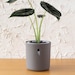 Leca Pots, Semi Hydro Self Watering Planter for Leca and Pon ...