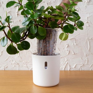 Leca Pots, Semi Hydro Self Watering Planter for Leca and Pon ...