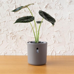 Leca Pots, Semi Hydro Self Watering Planter for Leca and Pon ...