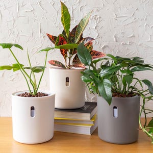 Leca Pots, Semi Hydro Self Watering Planter Large for Leca and Pon ...