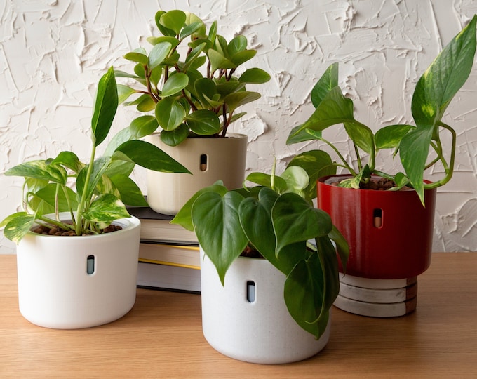 LECA Pots | Self Watering Planter for Houseplants | Hydropot Semi ...