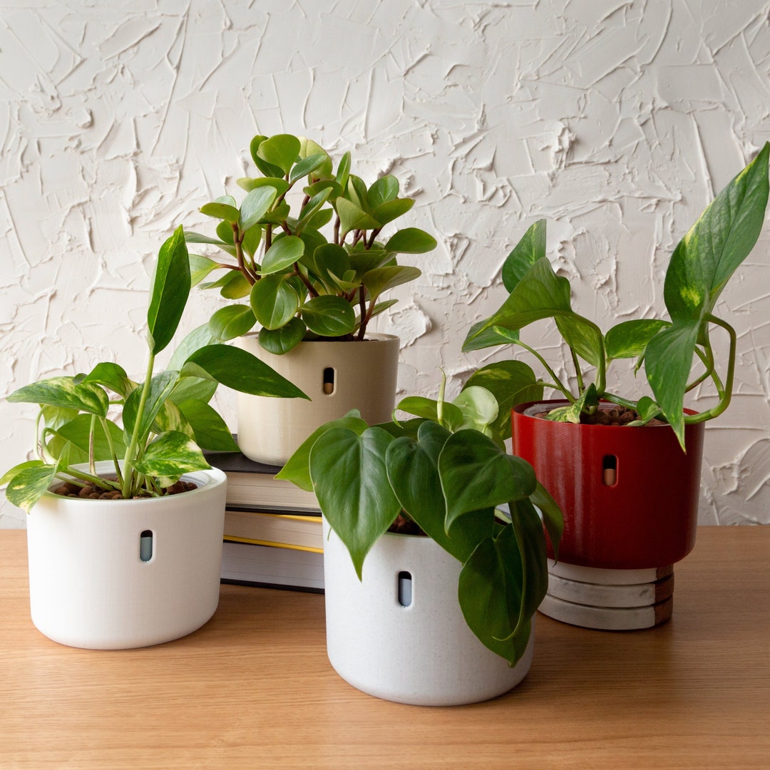 LECA Pots Self Watering Planter for Houseplants Hydropot Semi ...