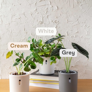 Leca Pots, Semi Hydro Self Watering Planter for Leca and Pon ...