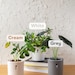 Leca Pots, Semi Hydro Self Watering Planter for Leca and Pon ...