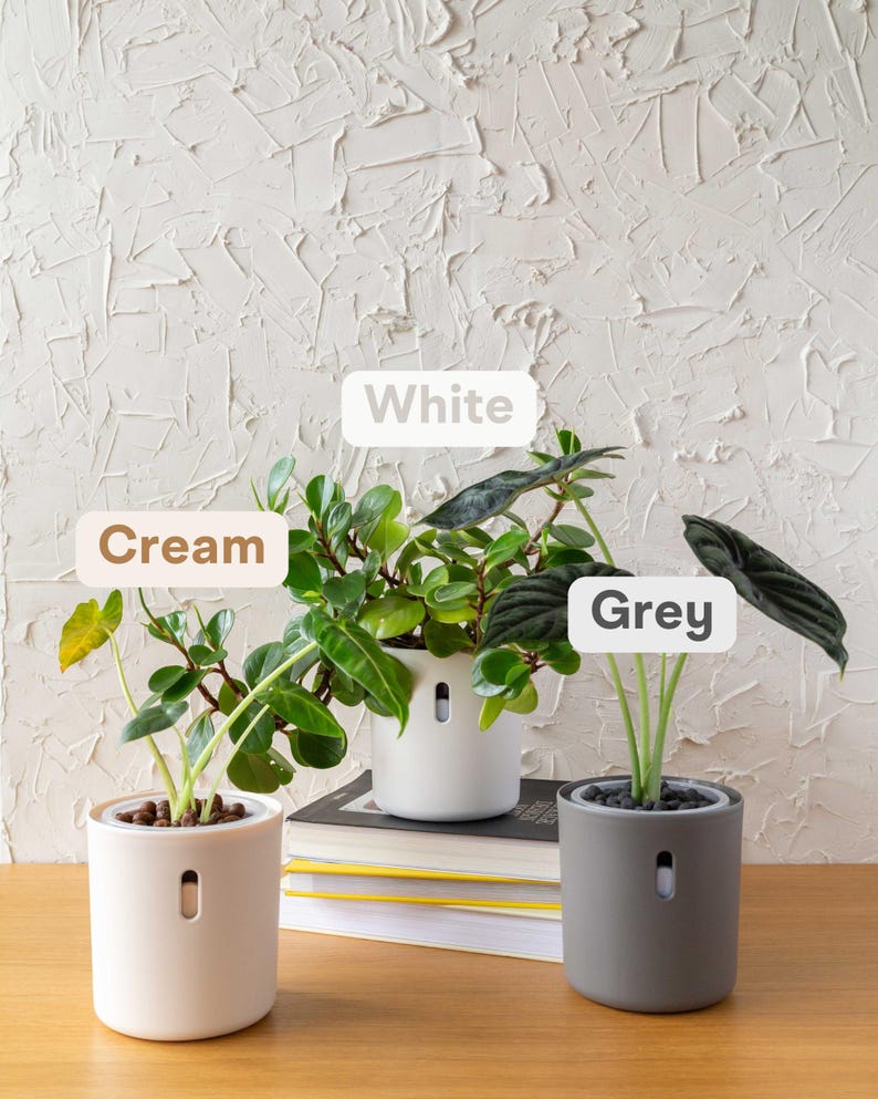 Leca Pots, Semi Hydro Self Watering Planter for Leca and Pon ...