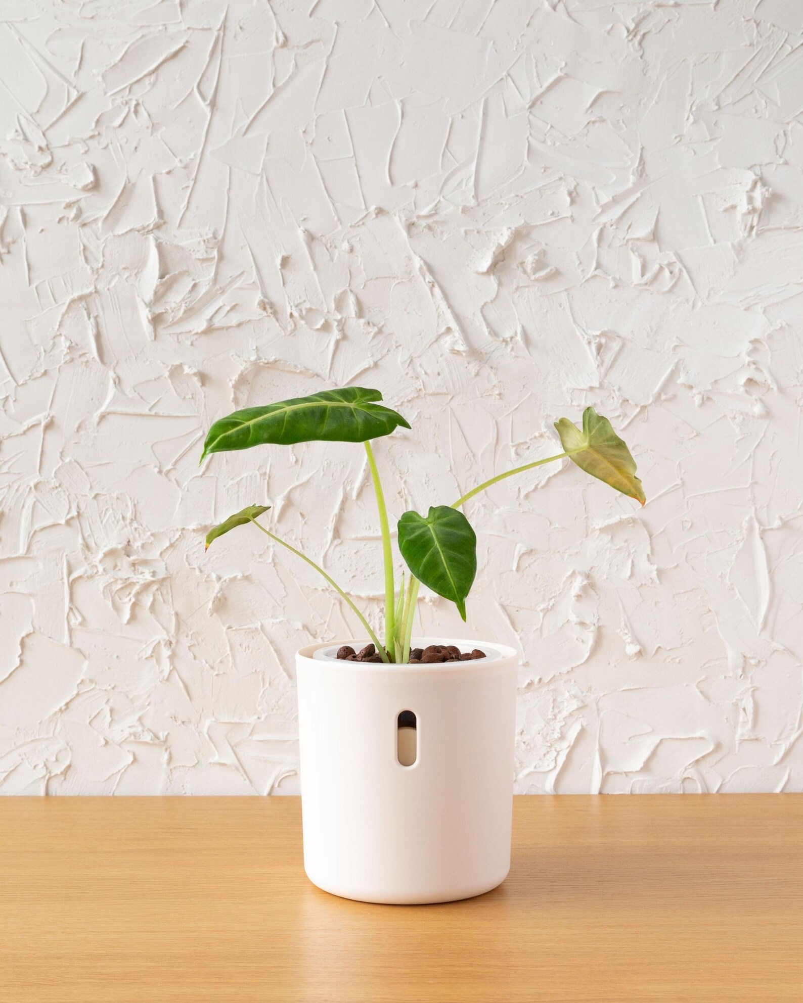 Leca Pots, Semi Hydro Self Watering Planter for Leca and Pon ...