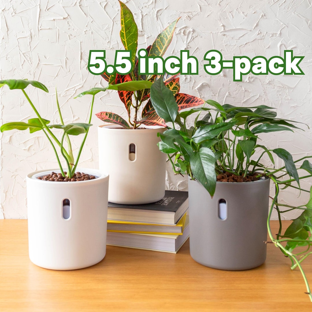 LECA Pots 3-pack, Semi Hydro Self Watering Planter for Houseplants ...