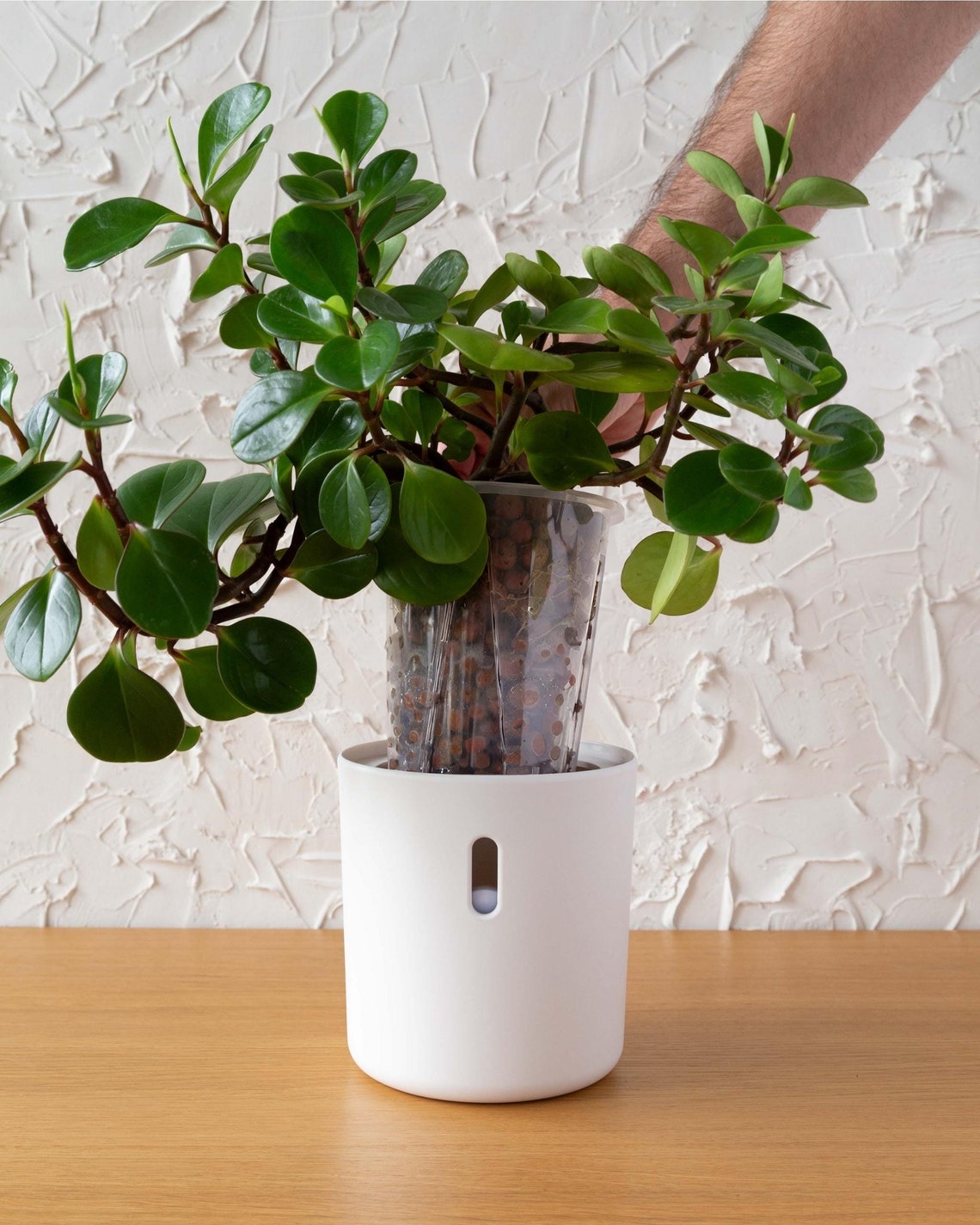 Leca Pots, Semi Hydro Self Watering Planter for Leca and Pon ...