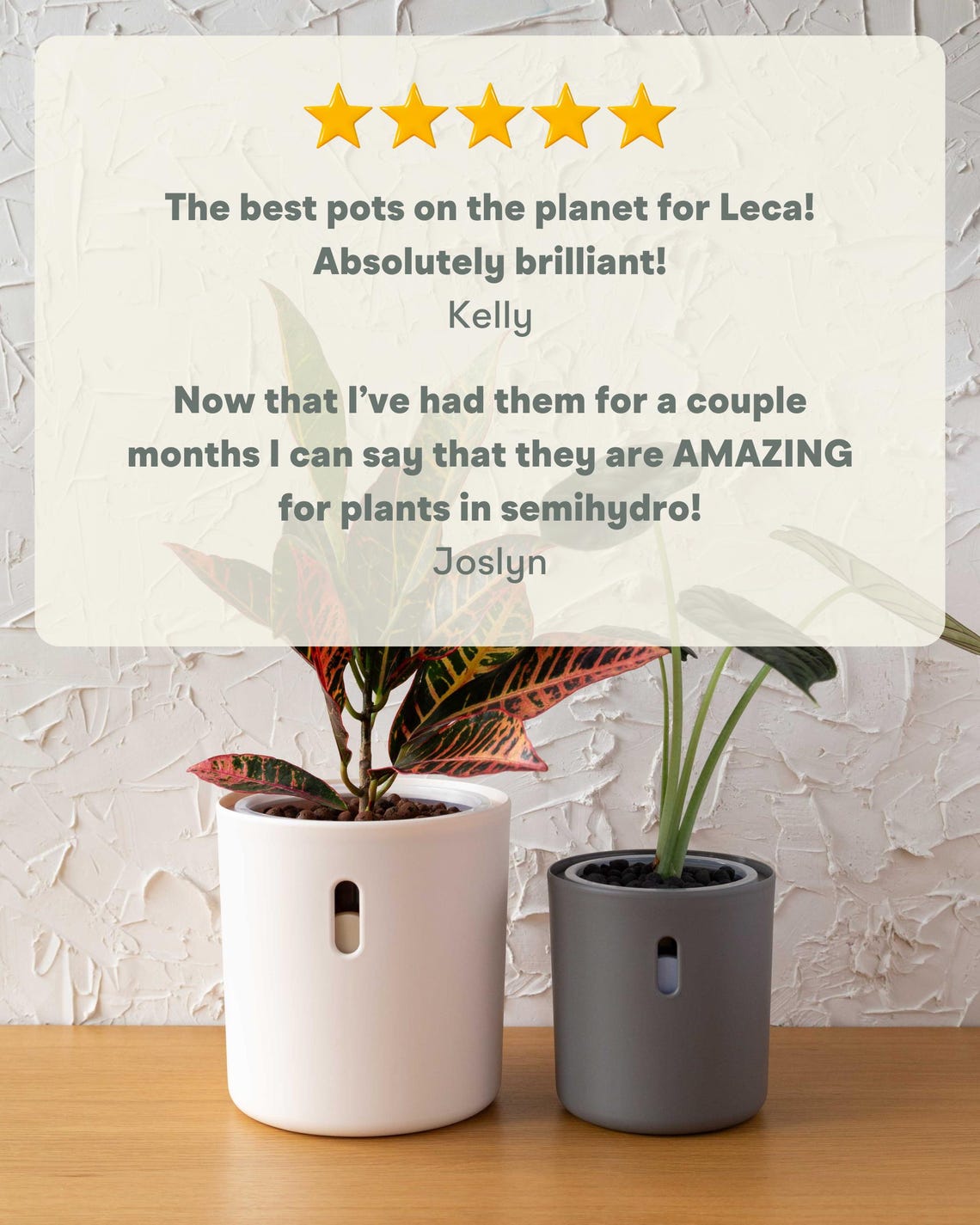 Leca Pots, Semi Hydro Self Watering Planter for Leca and Pon ...