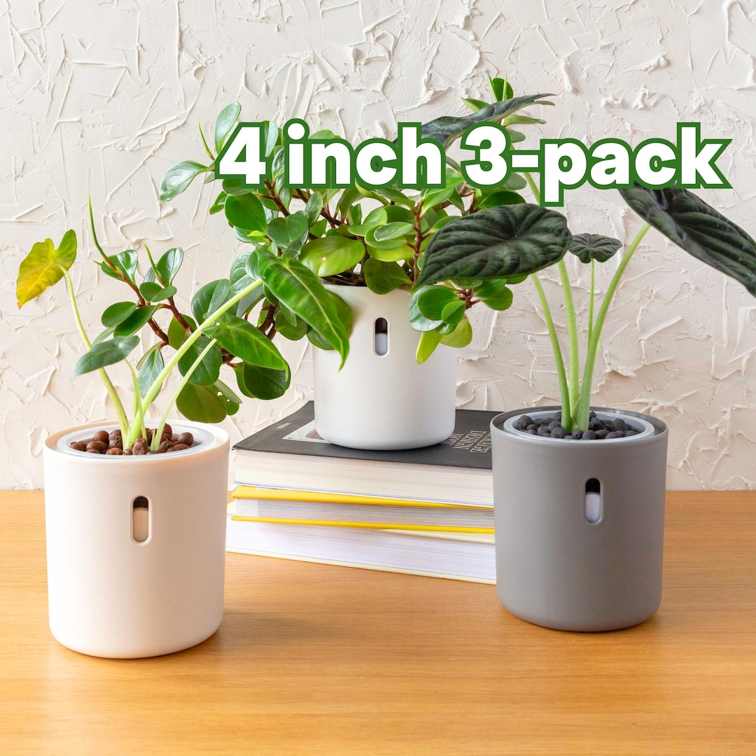 LECA Pots 3-pack, Semi Hydro Self Watering Planter for Houseplants ...