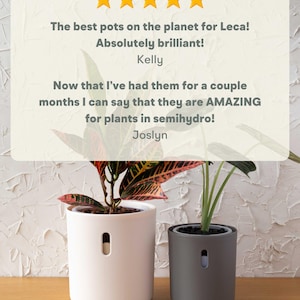 LECA Pots Self Watering Planter for Houseplants 5.5 Inch 3-pack ...