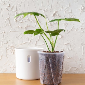 LECA Pots Self Watering Planter for Houseplants 5.5 Inch 3-pack ...