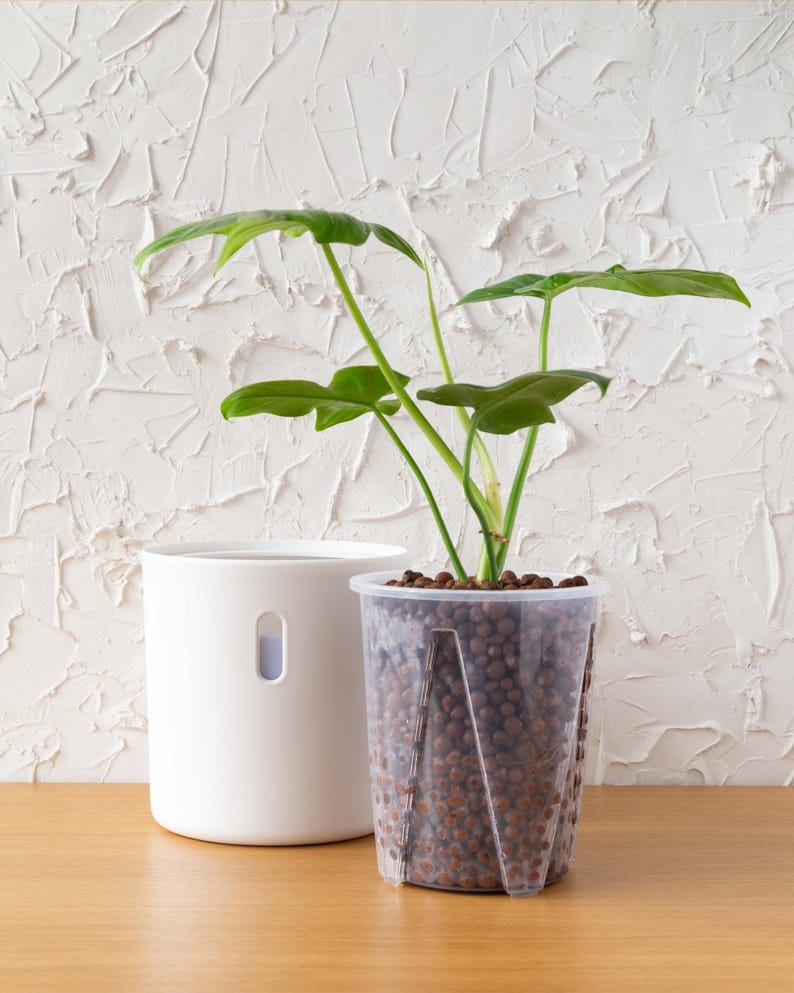 LECA Pots 3-pack, Semi Hydro Self Watering Planter for Houseplants ...