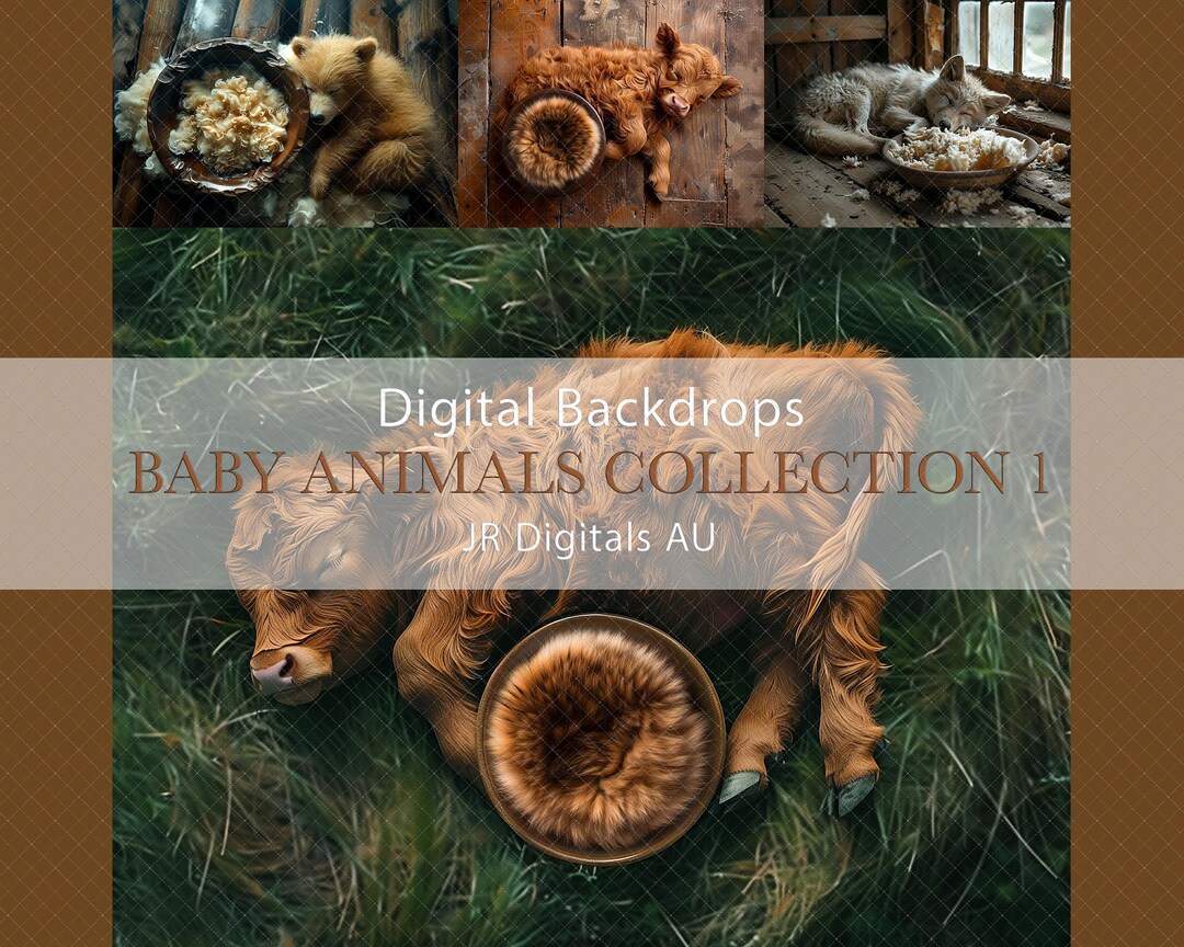 BIRTHDAY SALE!!! 4 X Baby Animals Collection... Digital Backdrops ...
