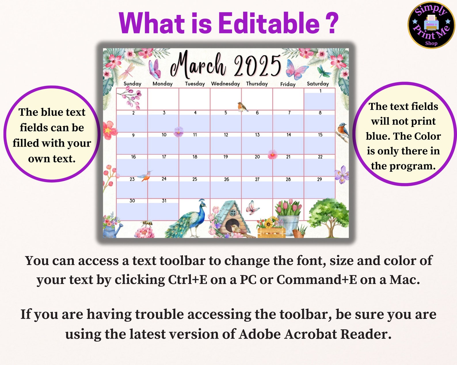 Editable Fillable March 2025 Calendar for Joyful and Colorful Spring ...