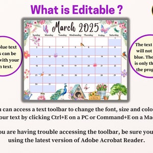 Editable Fillable March 2025 Calendar for Joyful and Colorful Spring ...