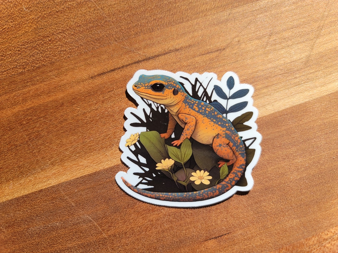 Salamander Vinyl Sticker | Newt Sticker | Water Bottle Sticker | Laptop ...