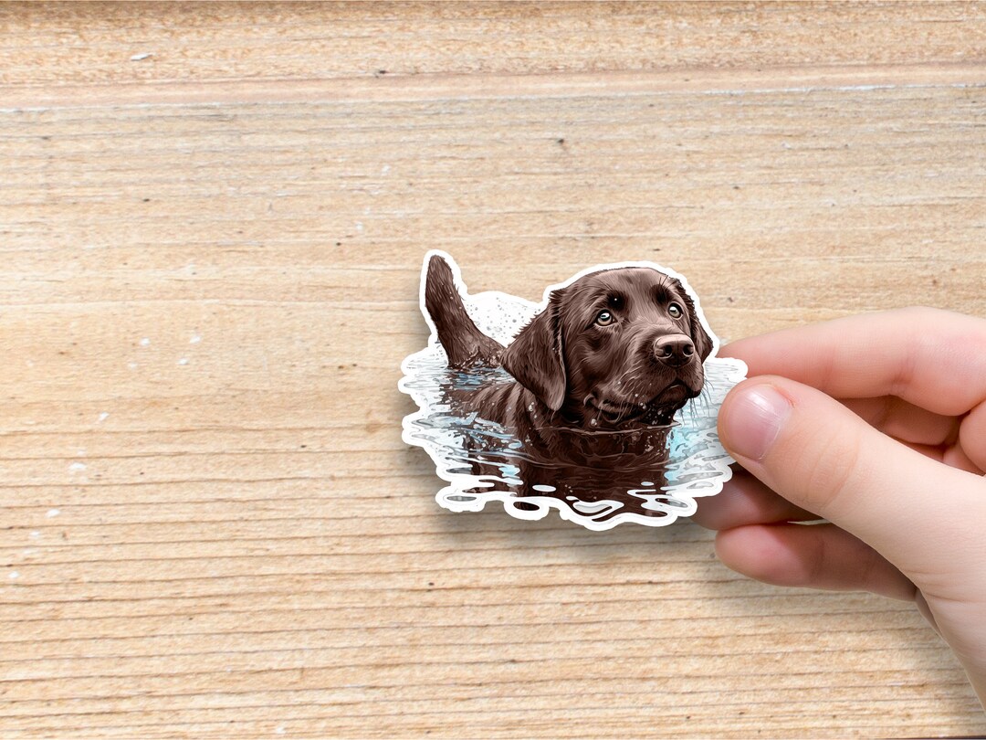 Chocolate Lab Swimming Vinyl Sticker | Water Bottle Sticker | Laptop ...