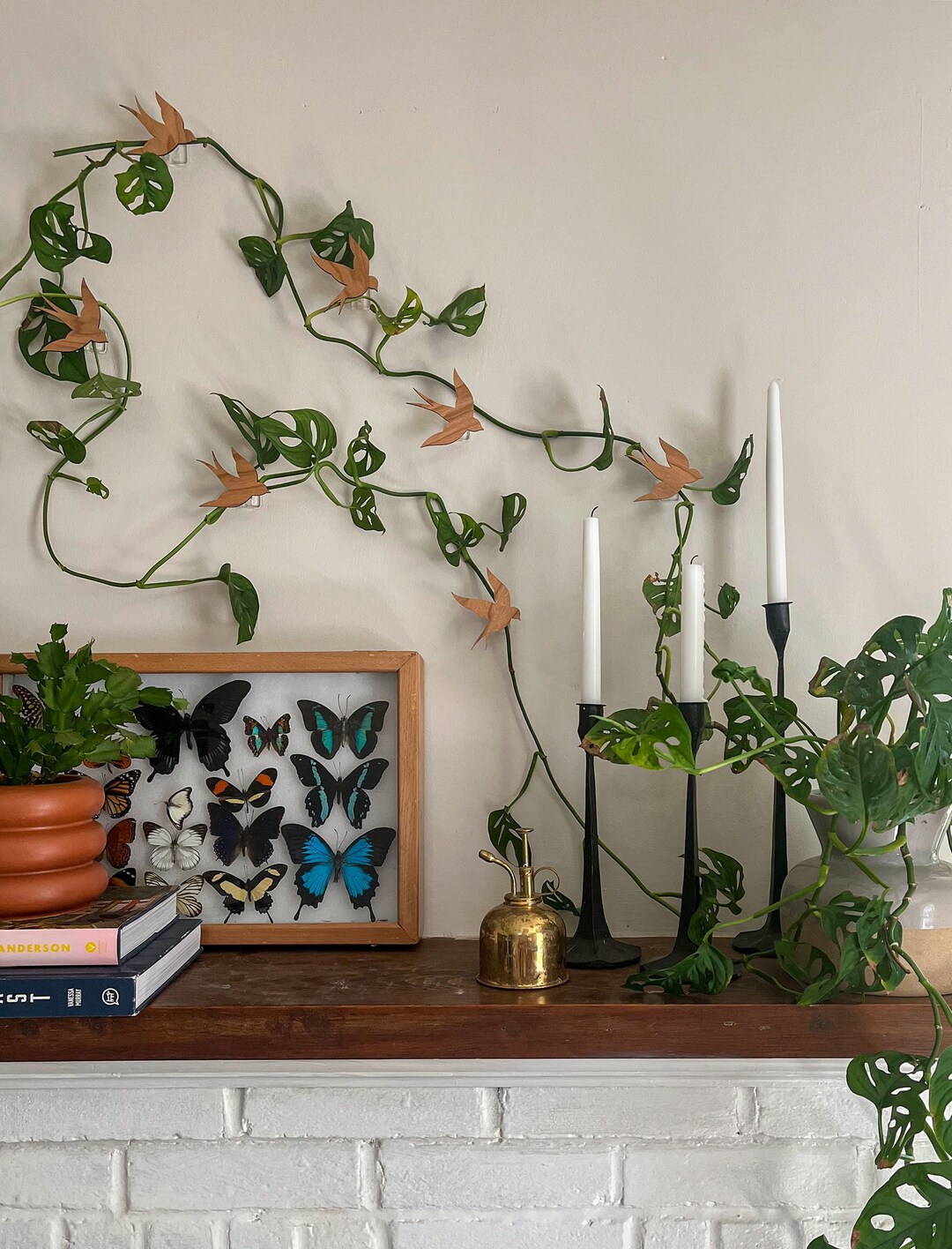 Bird/sparrow Indoor Wall Trellis for Climbing Plants - Etsy