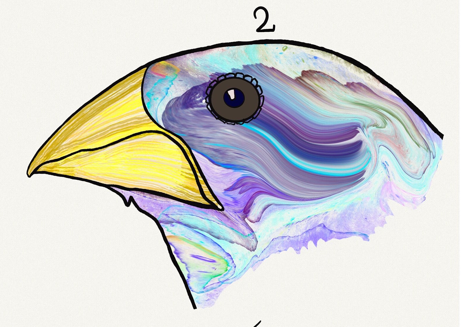 Darwin's Finches, Evolution, Science Art, Biology Prints, Large Ground ...