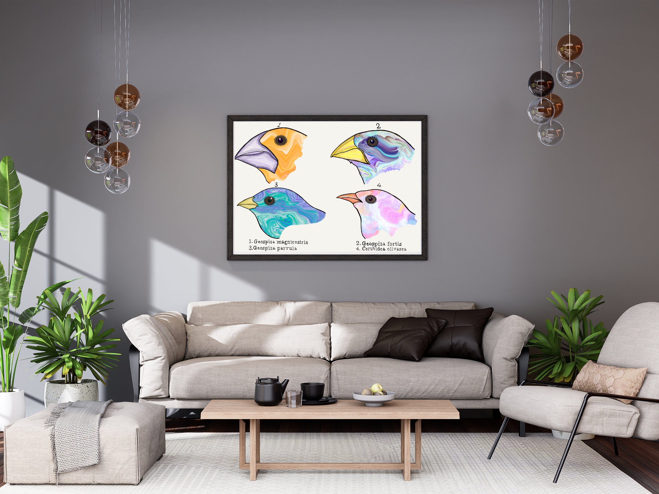 Darwin's Finches, Evolution, Science Art, Biology Prints, Large Ground ...