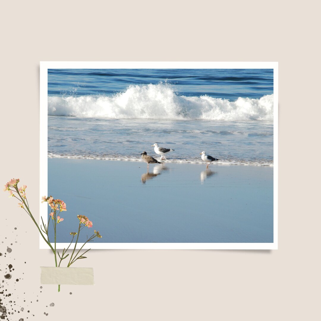 Seagull Printable Bird Wall Art, Seagulls on Beach, Print California ...