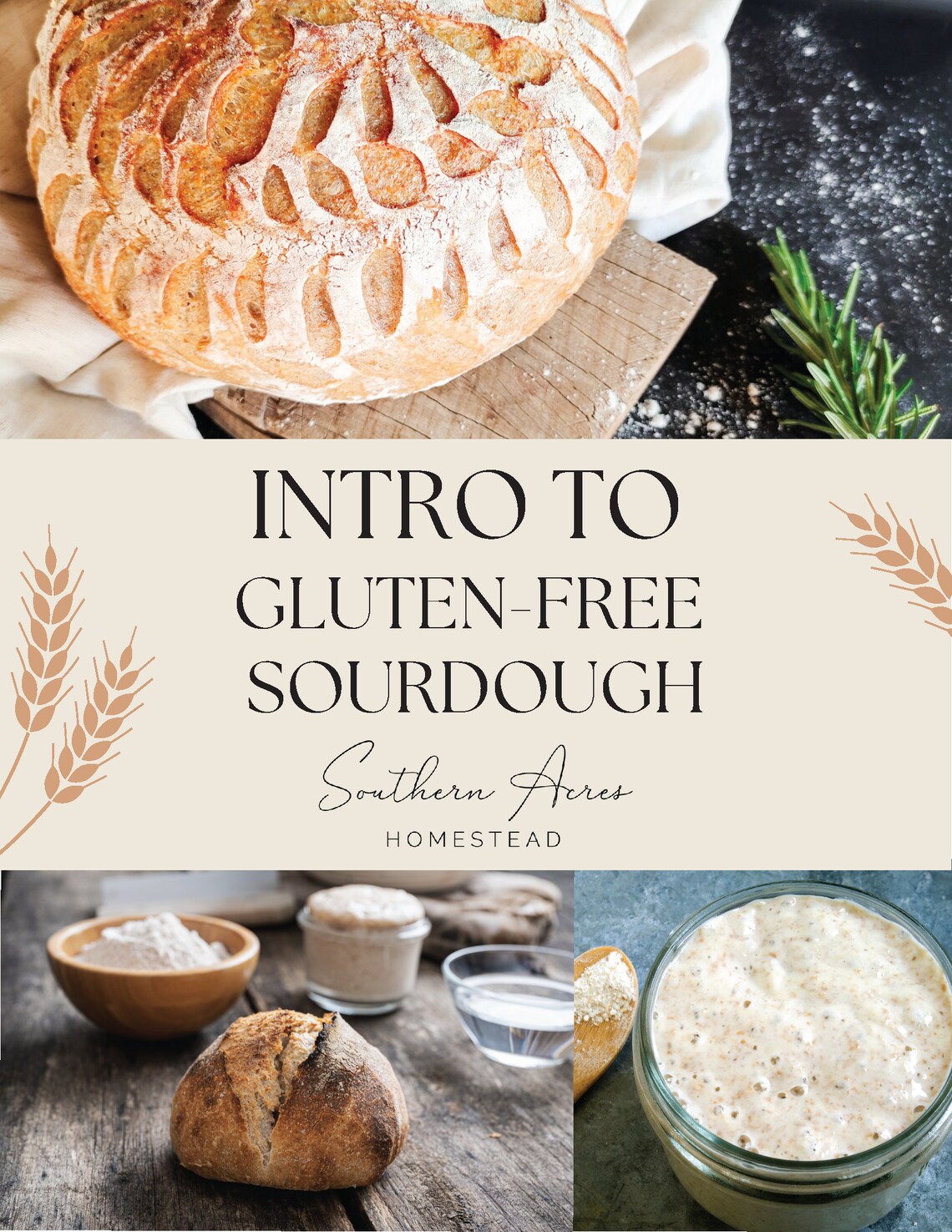 Intro to Sourdough Digital Guide - Etsy