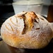 Intro to Sourdough Digital Guide - Etsy