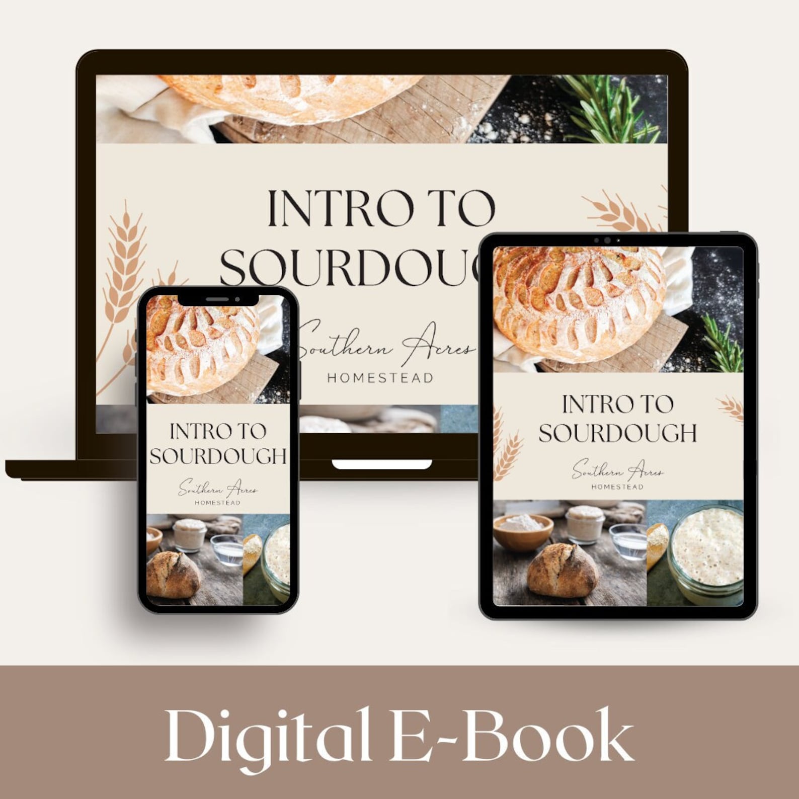 Intro to Sourdough Digital Guide - Etsy