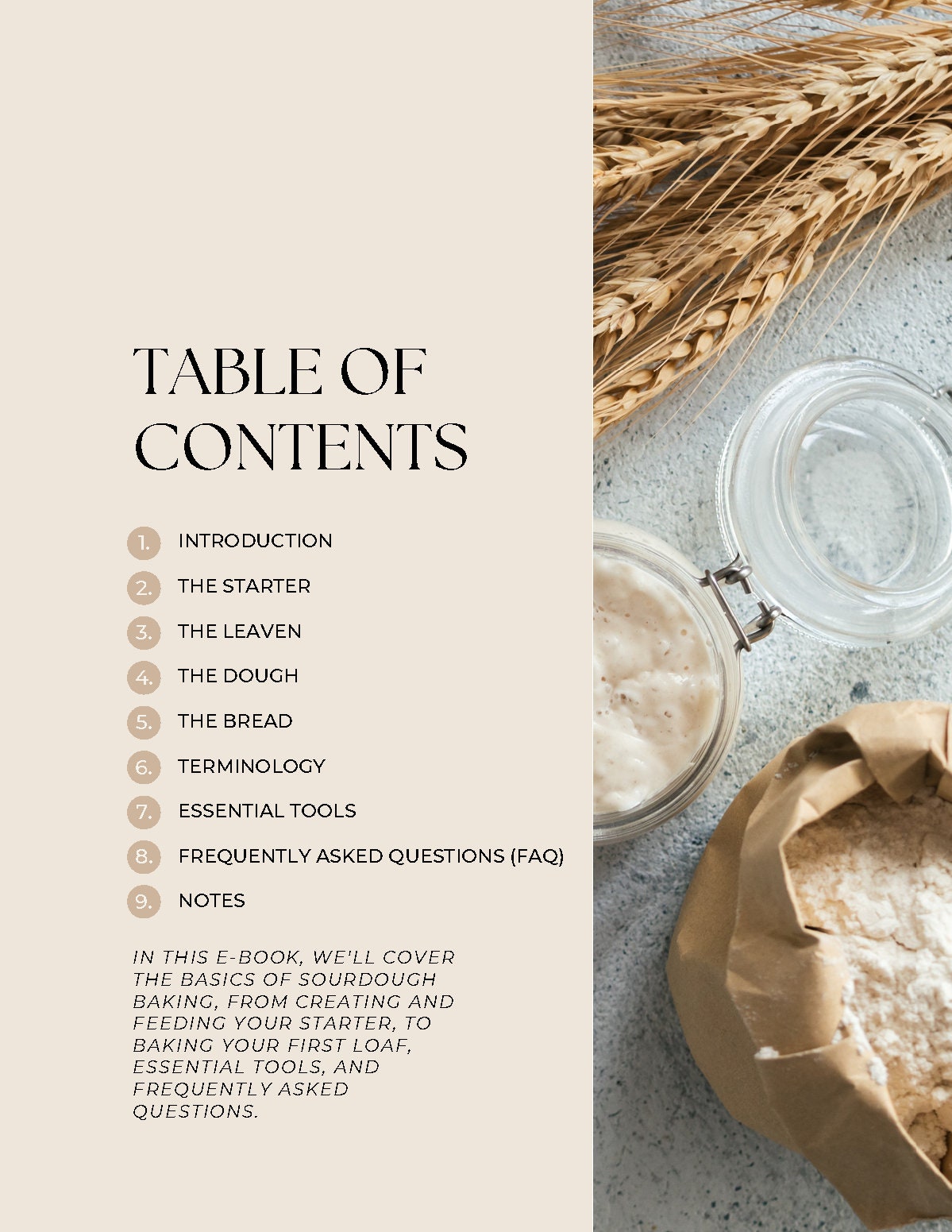 Intro to Sourdough Digital Guide - Etsy