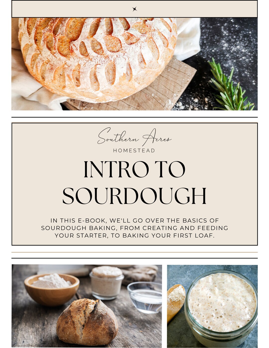 Intro to Sourdough E-book - Learn to Bake Delicious Bread at Home! - Etsy