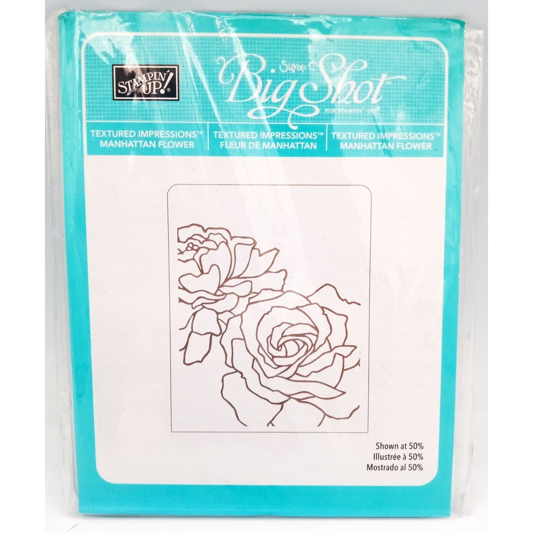Stampin up Textured Impressions Manhattan Flower Embossing Folder ...