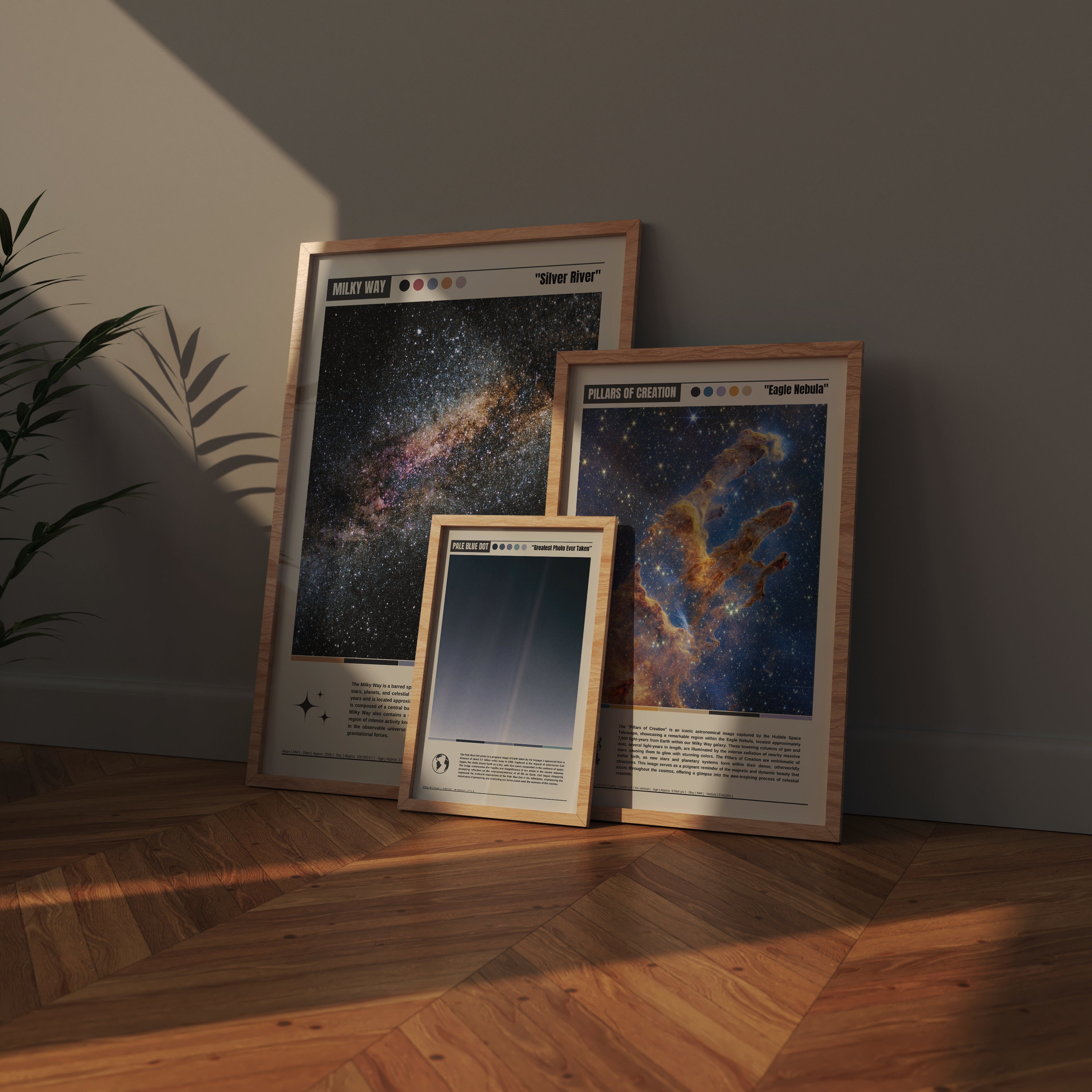 Pale Blue Dot Poster | Pale Blue Dot Print | Pale Blue Dot Wall Art ...