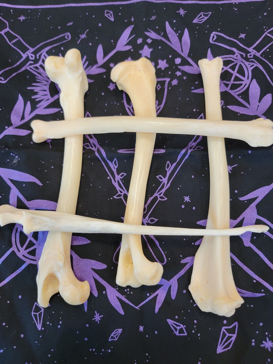 5 Questions. Bone Divination. Yes and No Questions Only. - Etsy