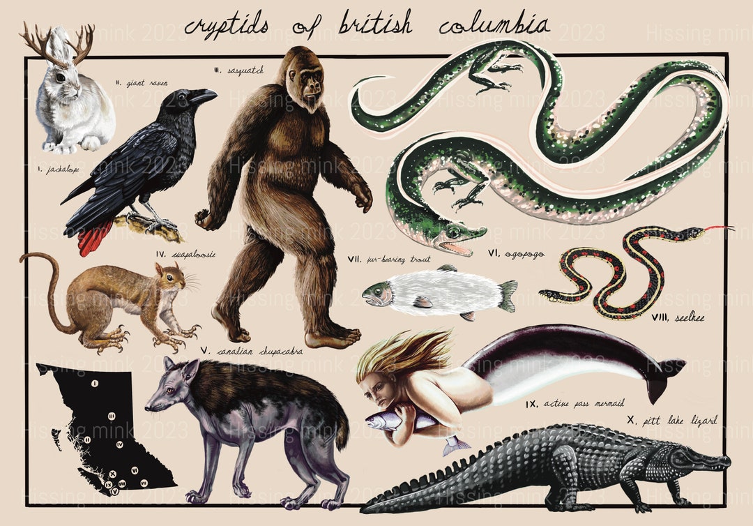 Cryptids of British Columbia Vintage Inspired Print - Etsy