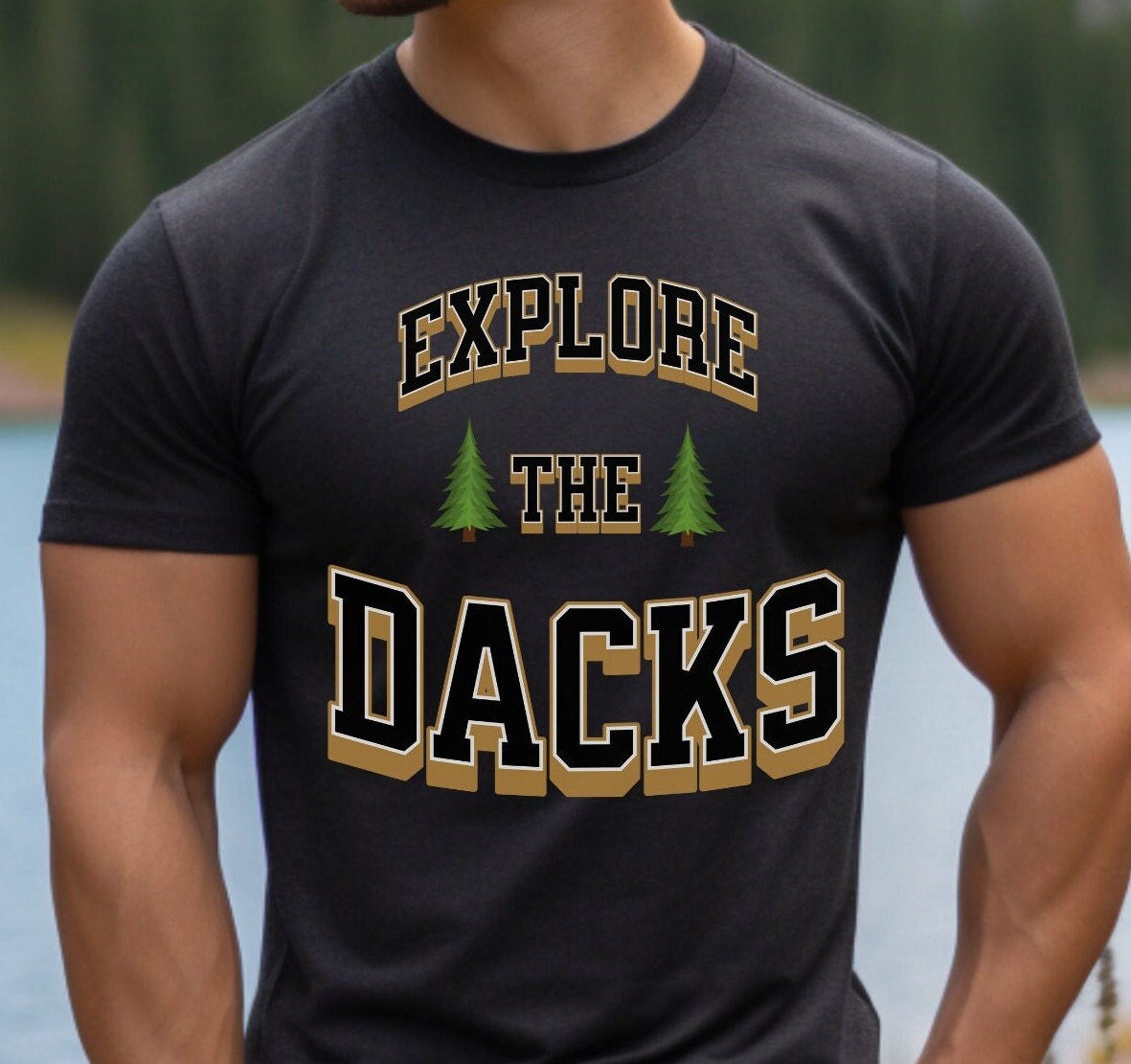 Adirondacks Tee Shirt, the Mountains Shirt, Adks Lover Shirt, Gift for ...