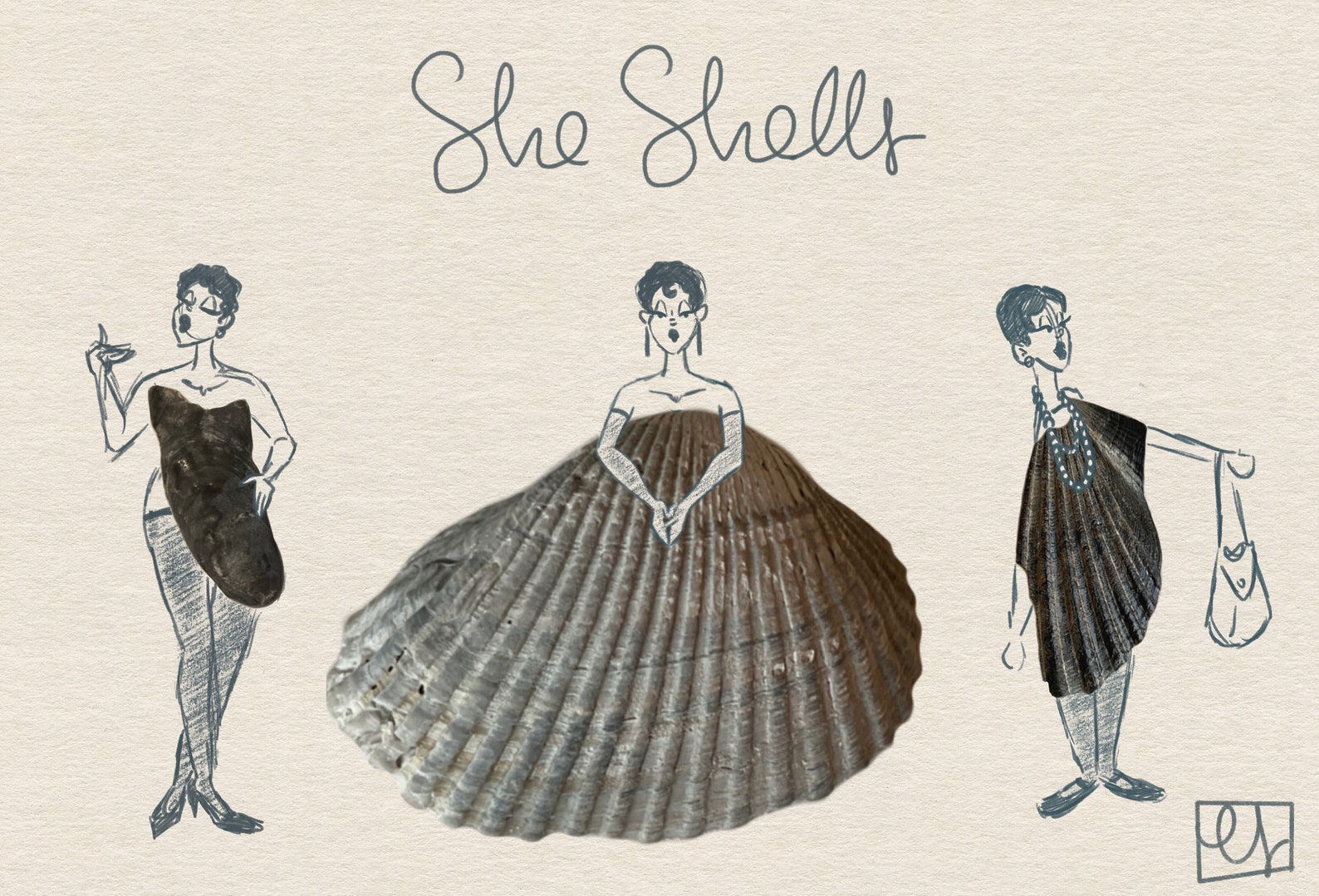 She Shells - Etsy