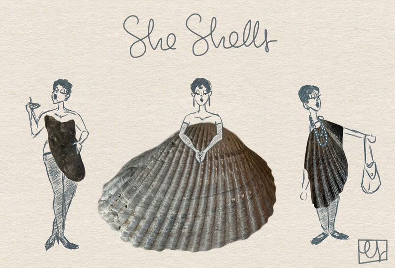 She Shells - Etsy