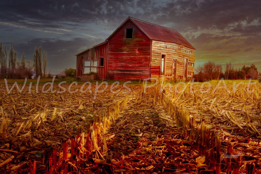 Grey Fox Barn, Greytown, N.island, New Zealand. Digital Art - Wall ...