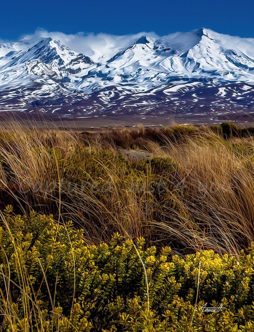 Mt Ruapehu, N.island, New Zealand. Digital Art - Wall Decor for Home ...