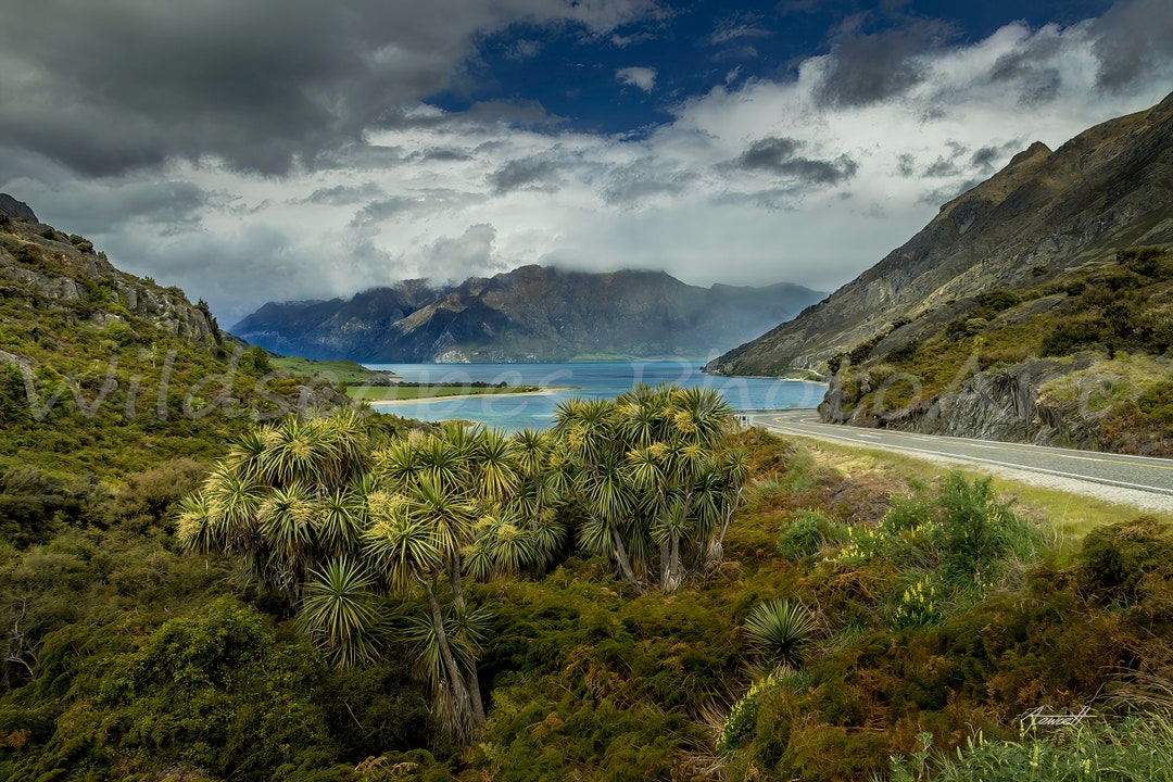 The Neck, Lake Wanaka, South Island, New Zealand. Digital Art - Wall ...