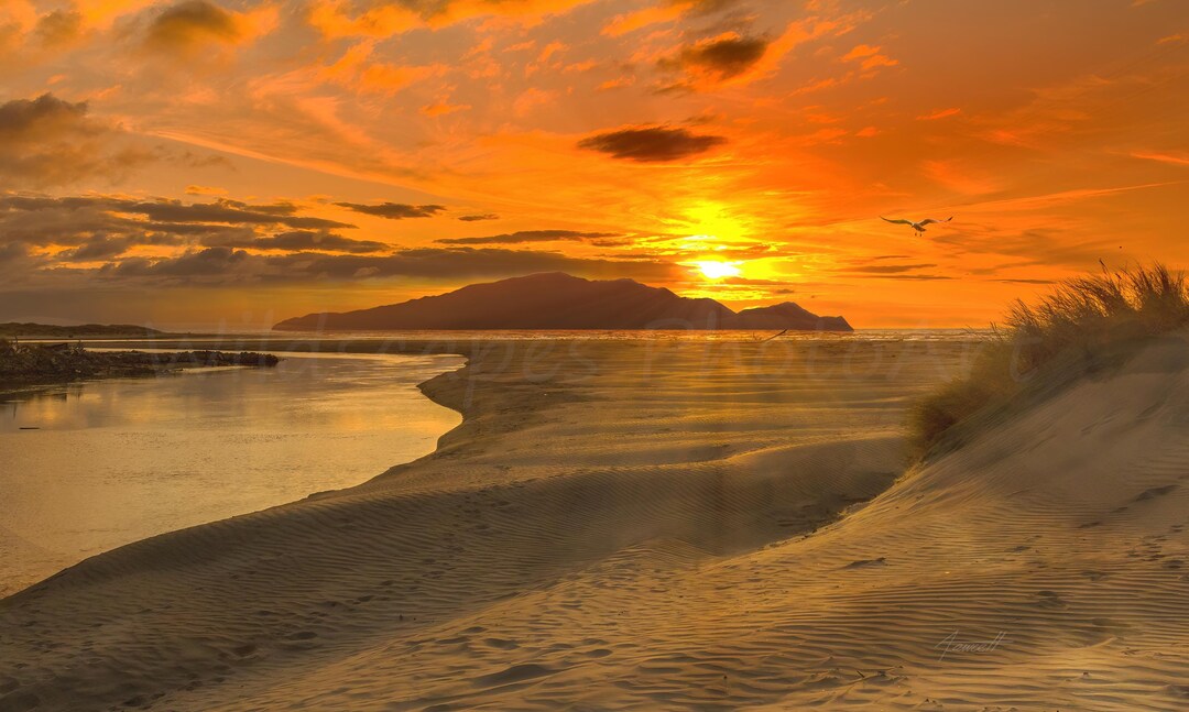 Kapiti Island, Wellington, New Zealand. Digital Art - Wall Decor Home ...