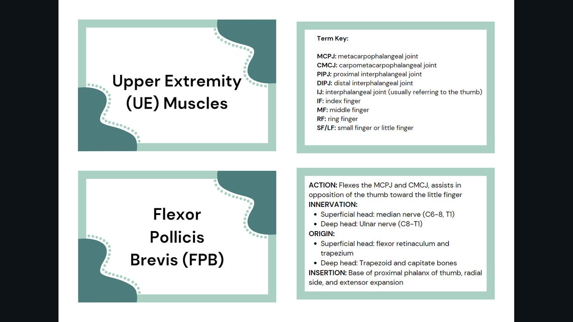 Occupational Therapy, OT, Occupational Therapy Student, Study Tool ...