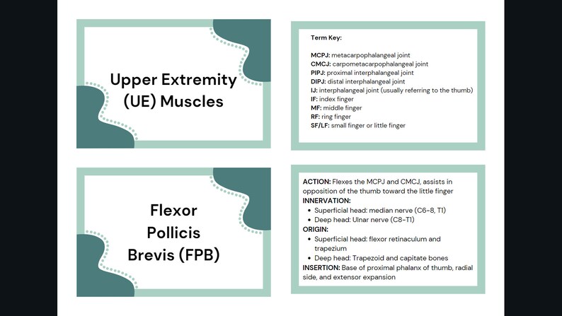 Occupational Therapy, OT, Occupational Therapy Student, Study Tool ...