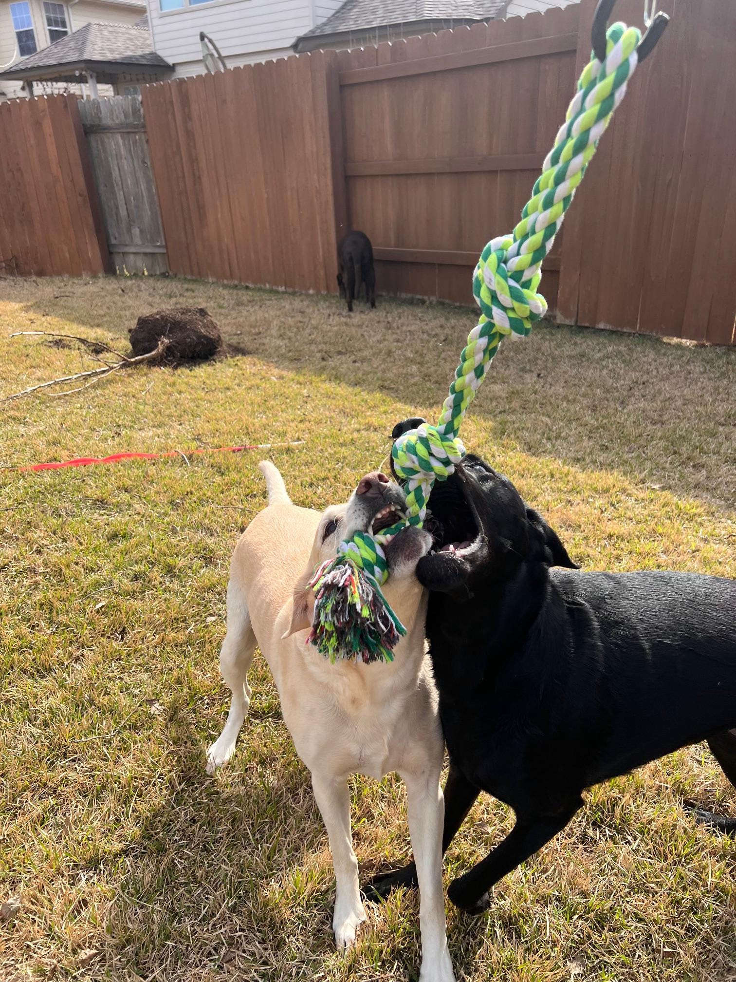 DOG BALL TUG, Heavy Duty Dog Toy, Durable Dog Rope Tug Toy, Agility ...