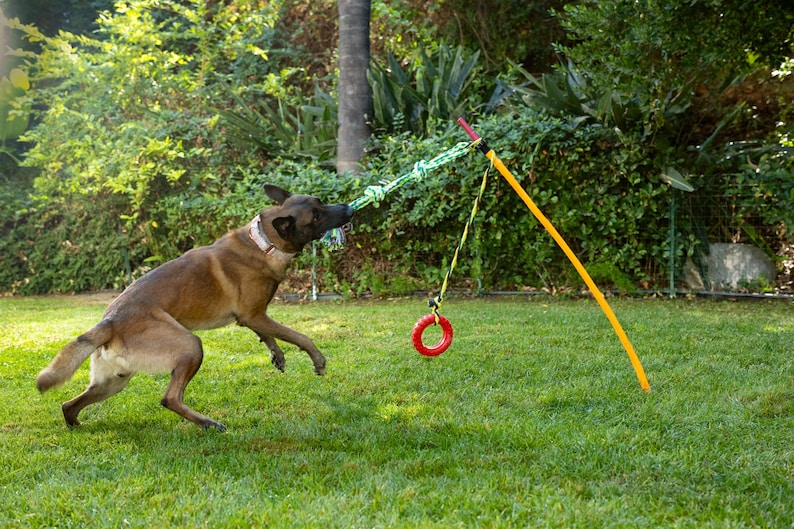 Belgian Malinois Heavy Duty Dog Toy, Durable Dog Rope Tug Toy, Agility ...