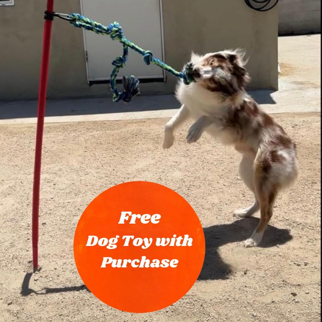 INDESTRUCTIBLE DOG TOY, Aggressive Chewer Dog Toy, Big Dog Toy, Dog ...