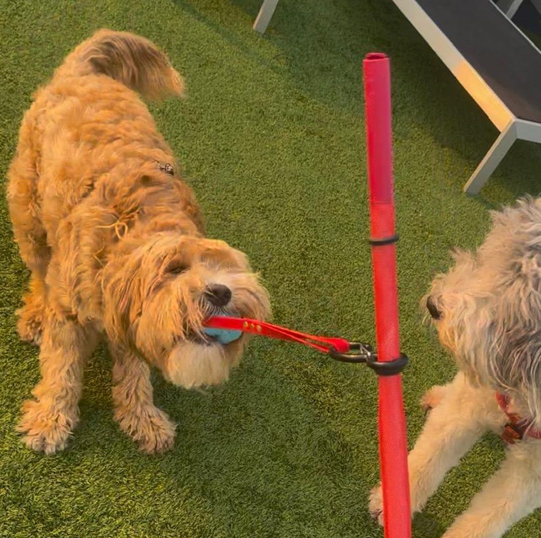 DOG BALL TUG Toy, Tug Toys Outdoor, Tug of War Dog Toy, Dog Training ...